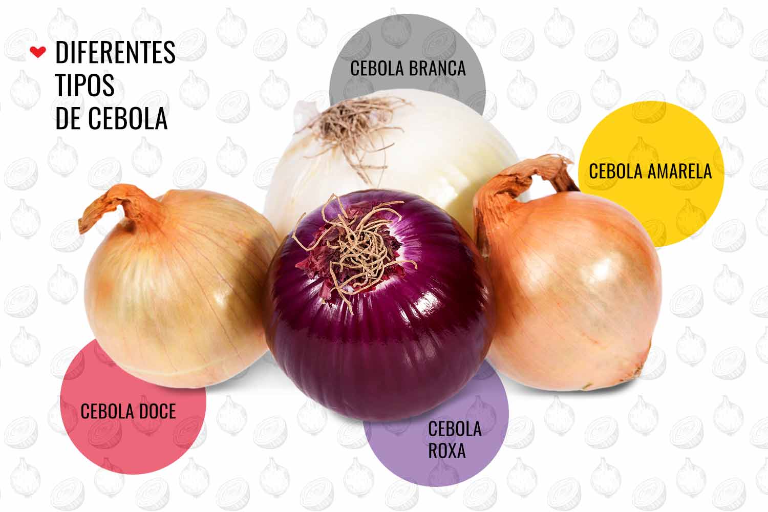 6 motivos para amar cebola - Gastronomia Carioca