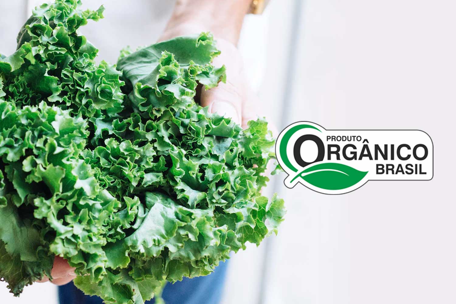 Bio Vida orgânicos: da semente à sua casa - Gastronomia Carioca
