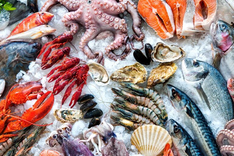 Como comprar peixes e frutos do mar - Gastronomia Carioca