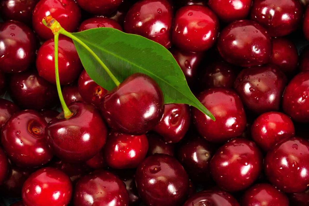 Cereja de chuchu é verdade ou mentira? O que você precisa saber antes ...