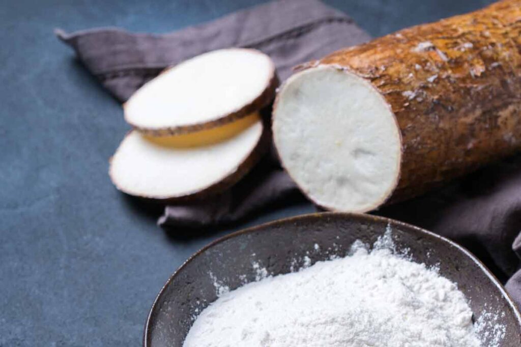 Mandioca: um patrimônio brasileiro com sabor de versatilidade ...