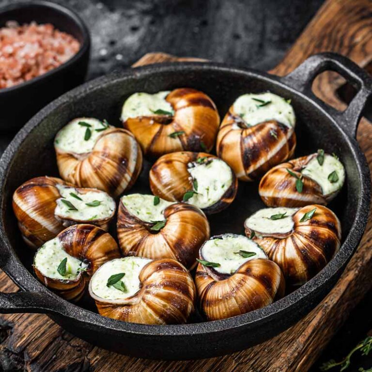 Escargot é caracol? Conheça o clássico da gastronomia francesa ...