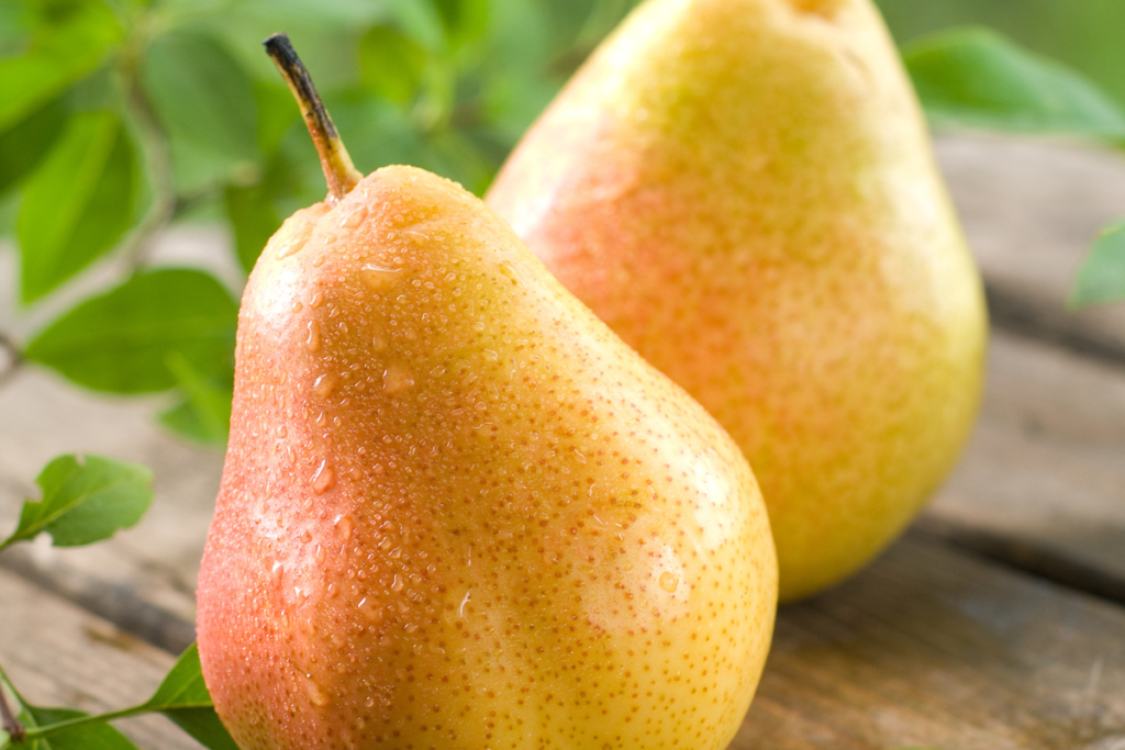 Conheça os diferentes tipos de pera e como usá-las em receitas doces e ...