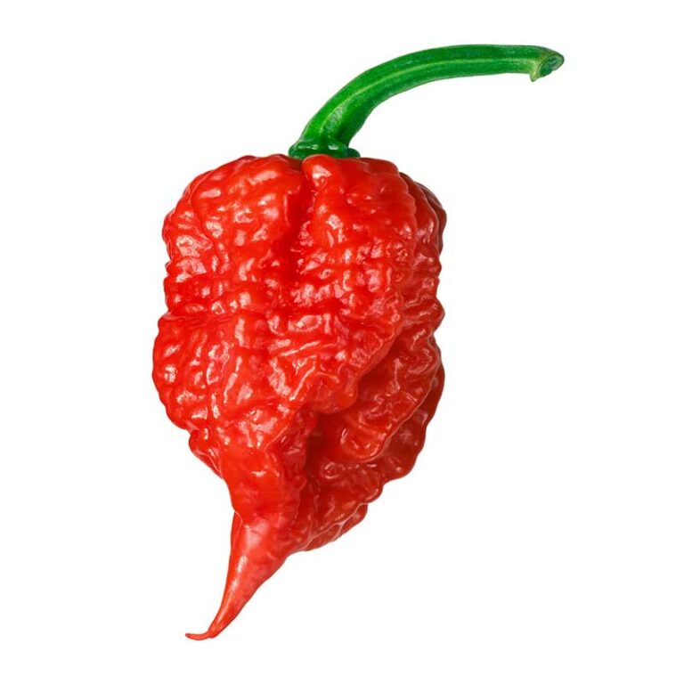 Da suave à mais ardida do mundo: conheça a escala de potência das ...