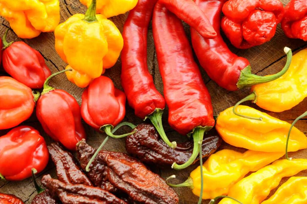 Da suave à mais ardida do mundo: conheça a escala de potência das ...